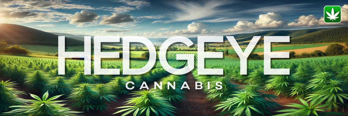 CXXIF | From Cash Flow King to Revenue Growth: How C21 Investments