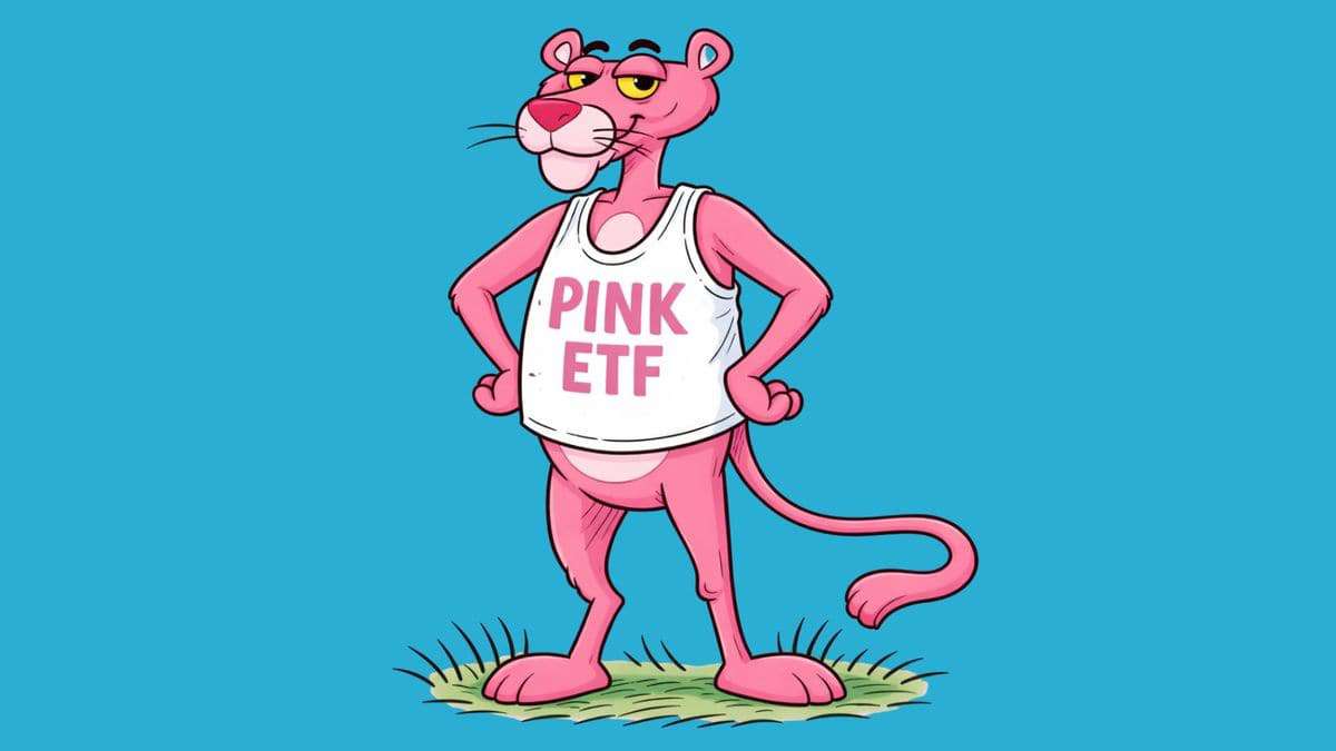 THE PINK PANTHER: The Quiet Setup Behind Healthcare’s Breakout
