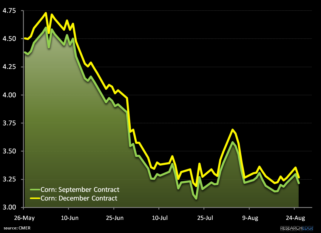 THE CURRENT DYNAMICS OF CORN