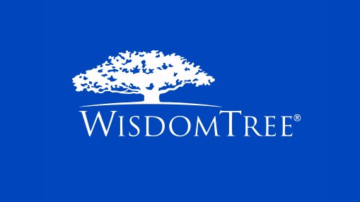 WisdomTree (WETF): Share Losses & Currency Risk